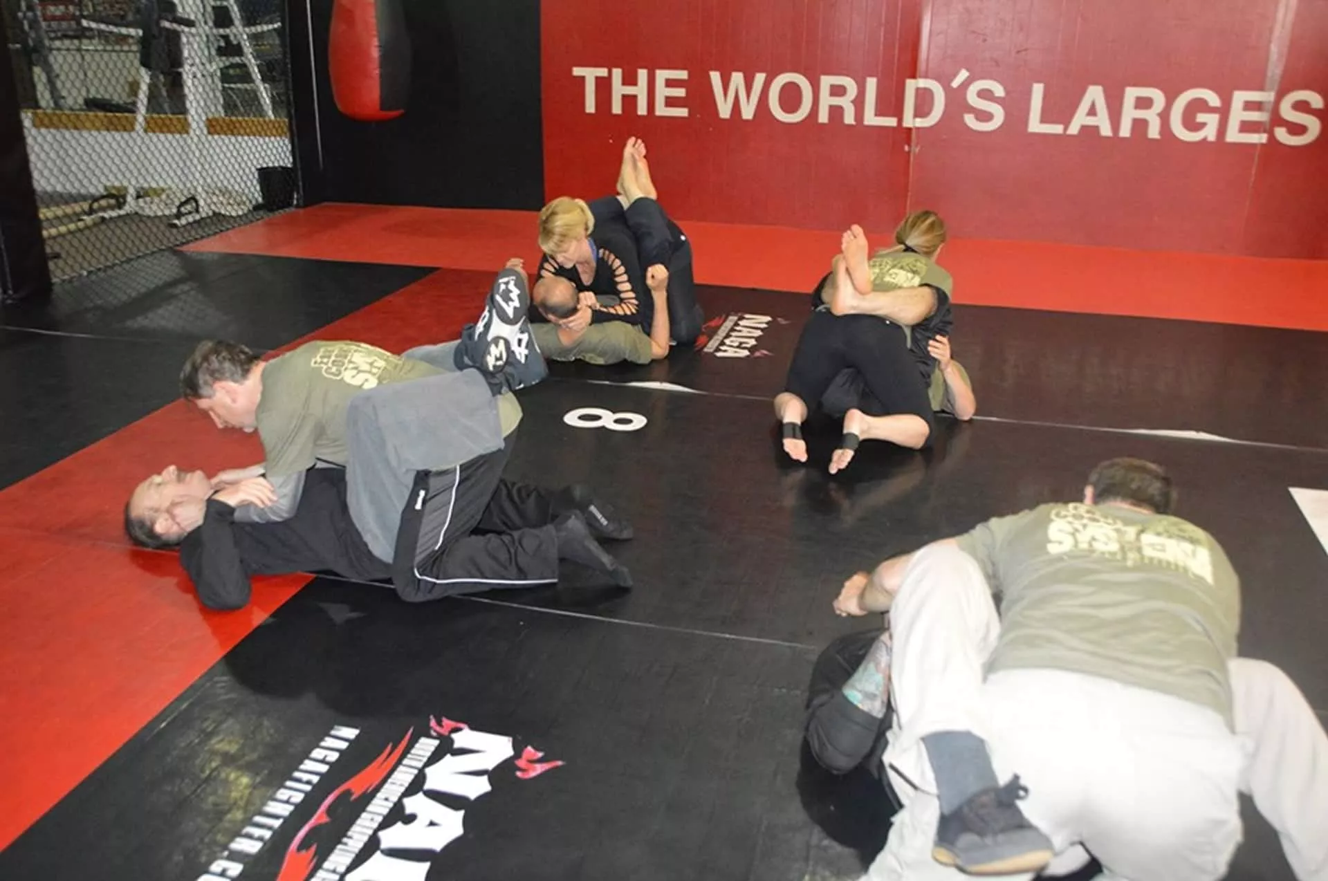 Ultimate Self-Defense System: Transform Body and Mind with Systema